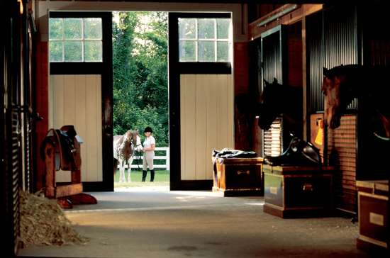 An equestrian way to mindfulness - EQ Sports Network