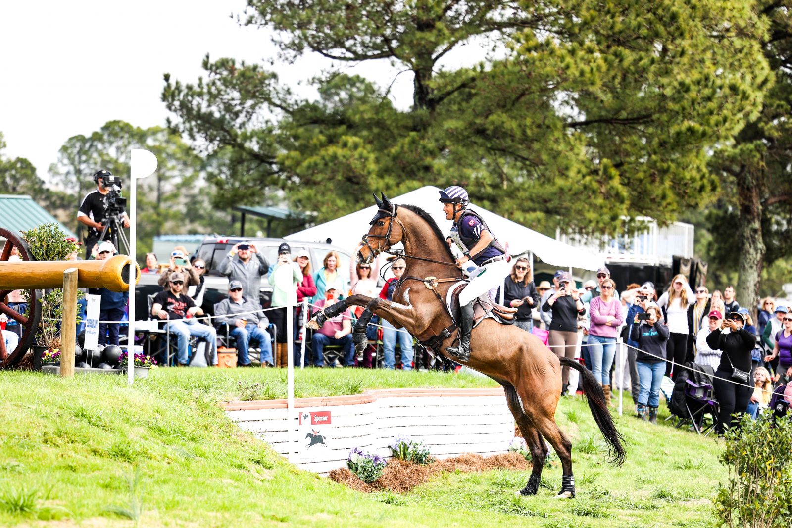 STRIDER Announces Expanded Media Partnership with Eventing Nation - EQ Sports Network