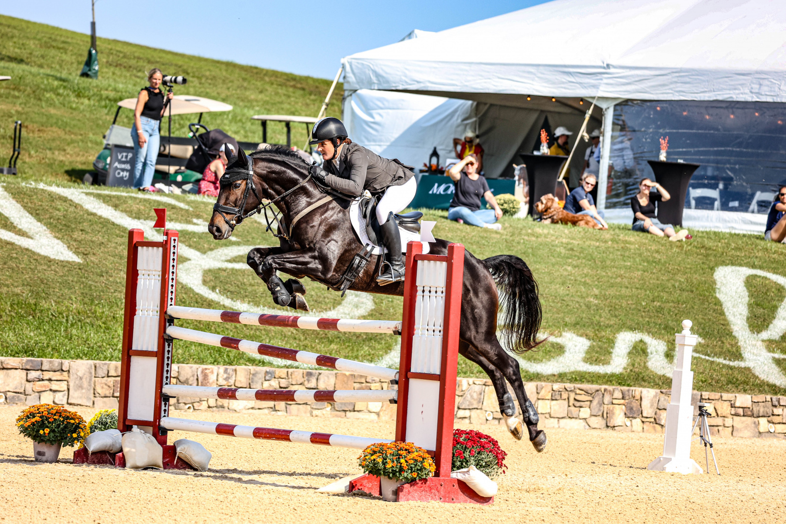 Horse & Human Nutrition with Ema Klugman: Six Horses, Two Types of ...