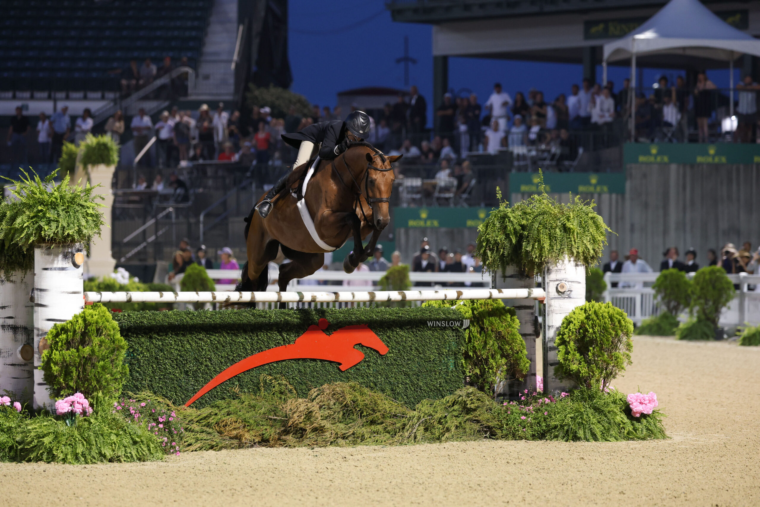 Victoria Colvin Makes History Winning USHJA International Hunter Derby ...